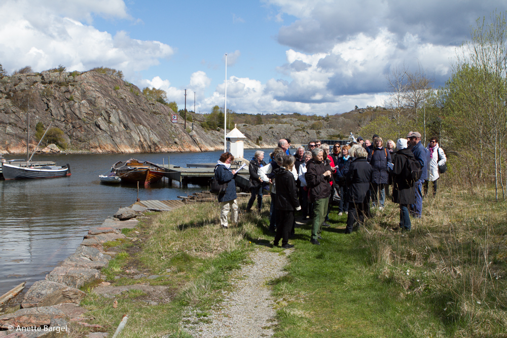 Guide Uddevalla | stadsguide | Uddevallaguiderna